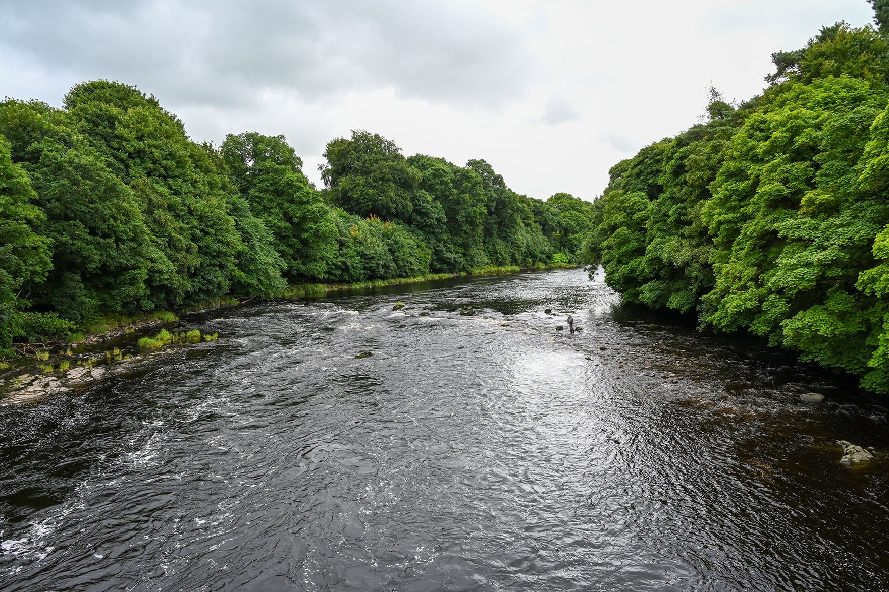 Road and Rail Schemes – ecofact