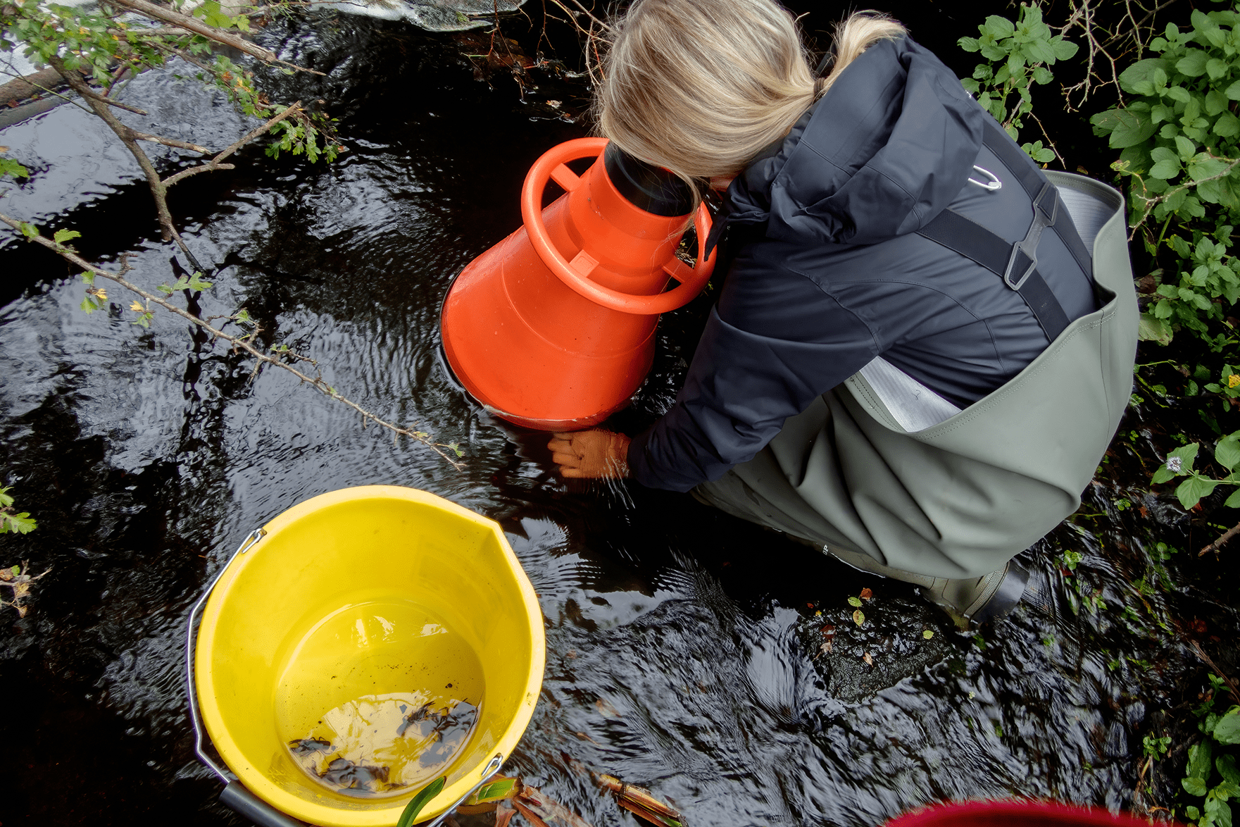 Environmental Surveys – ecofact